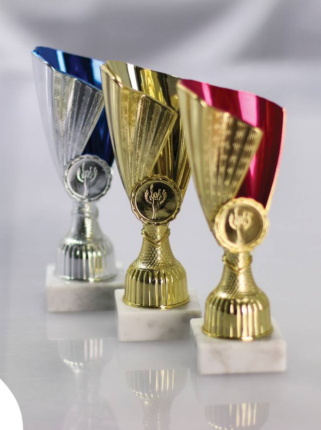 Puchary Ekonomiczne - Sprzedaż Pucharów - Medali